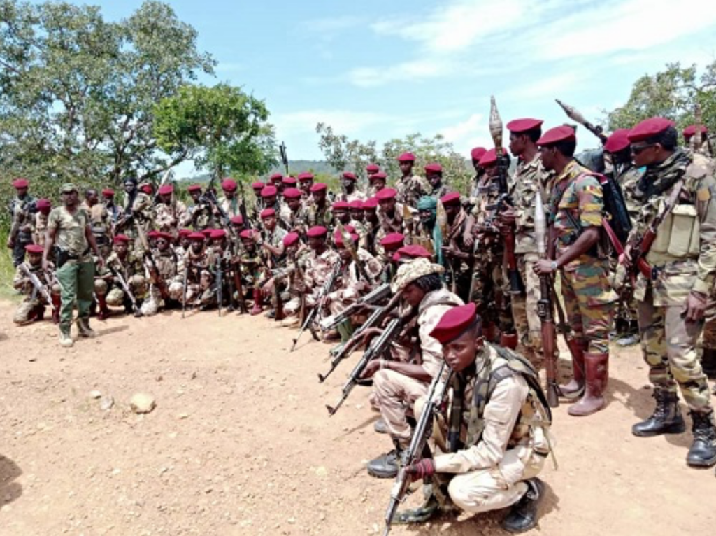 Insurgent Armies and State Formation after Victory